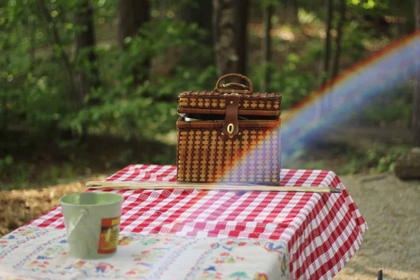 Picnic 101 - Top Tips for a Successful Quick Picnic 2025