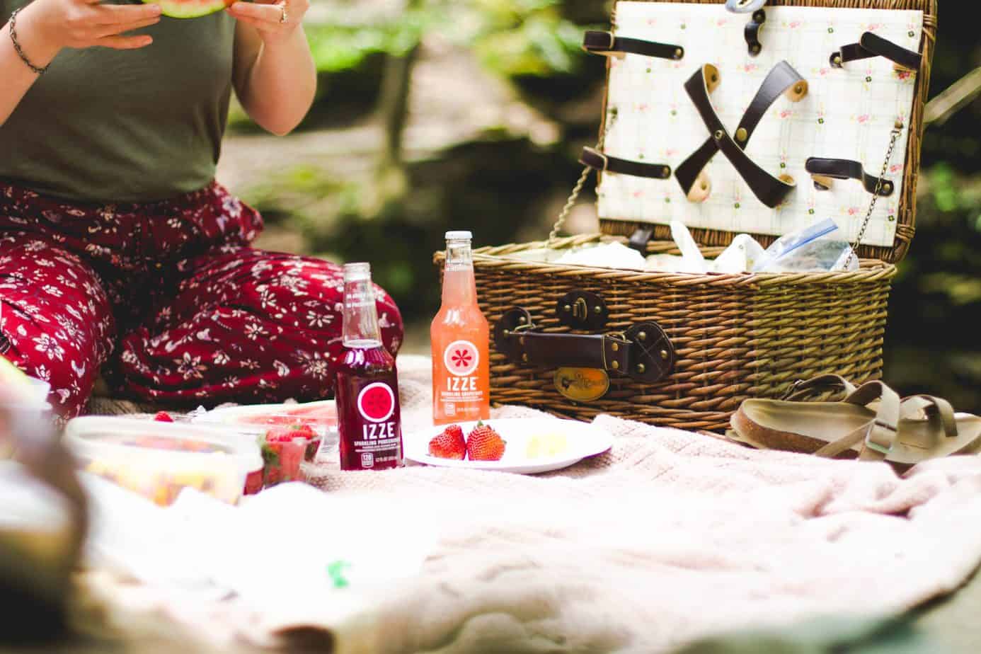 Picnic 101 - Top Tips for a Successful Quick Picnic - Life is a Picnic!